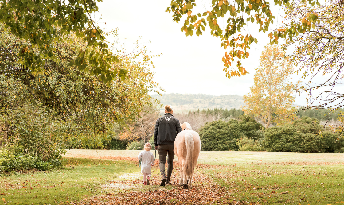 Tasracing - Tasmania's governing body of horse and greyhound racing