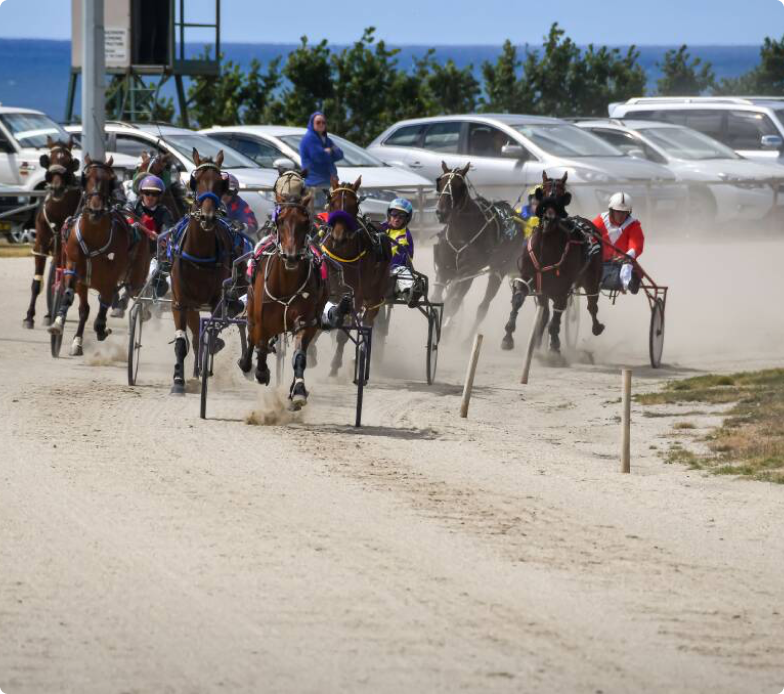 Harness Insurance Program - Tasmania