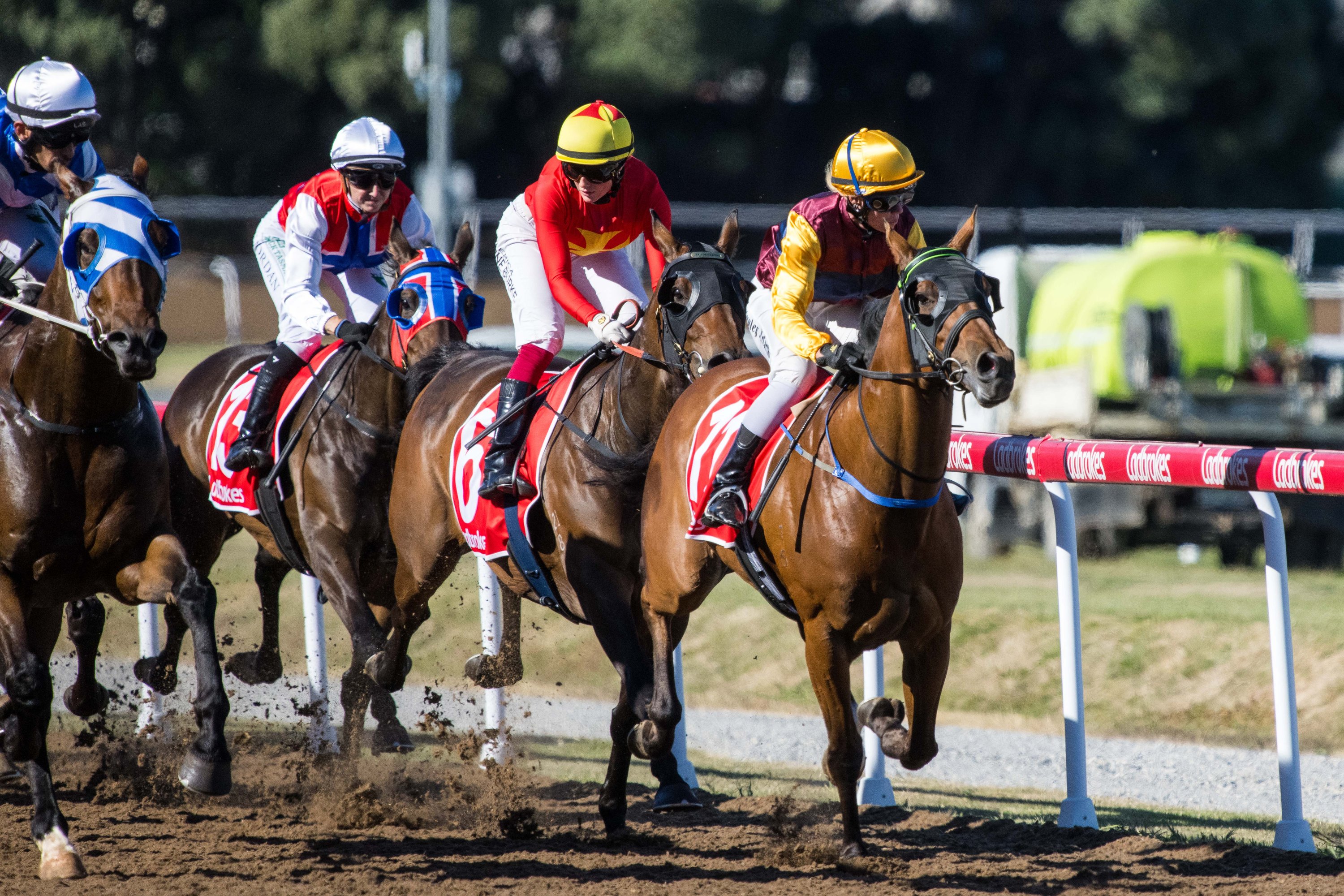 TASBRED Thoroughbred Breeding Incentive Scheme