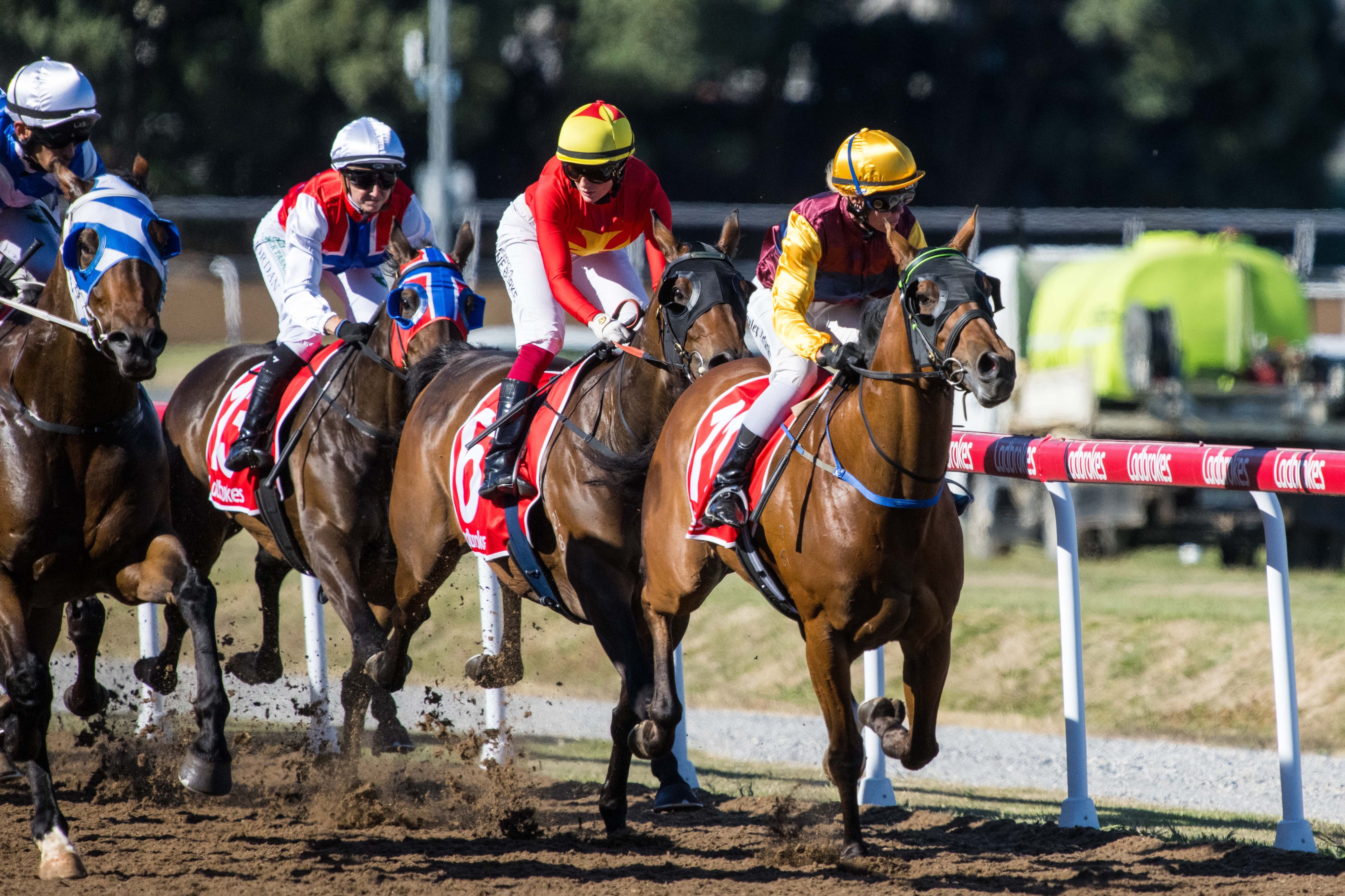 TASBRED Thoroughbred Breeding Incentive Scheme