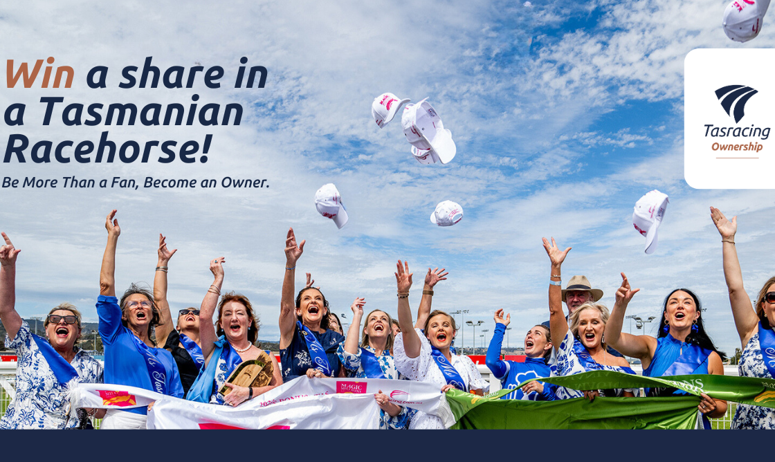 Tasracing - Tasmania's governing body of horse and greyhound racing