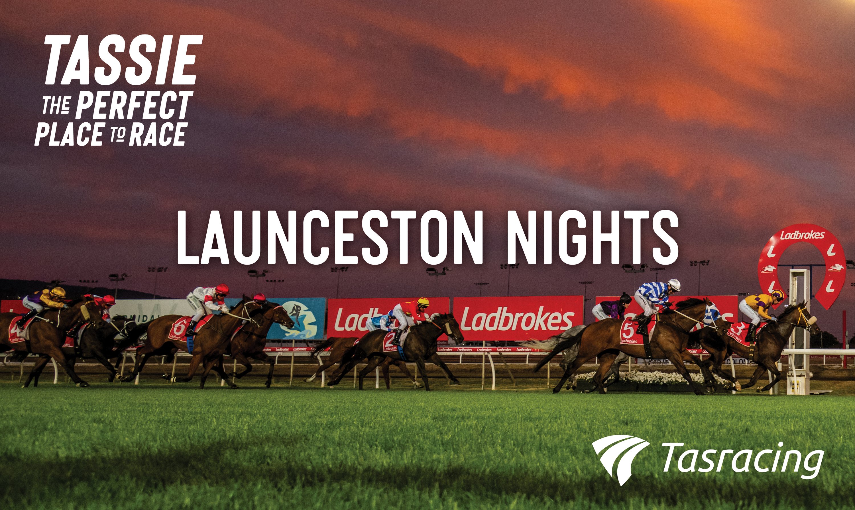 Tasracing - Tasmania's governing body of horse and greyhound racing