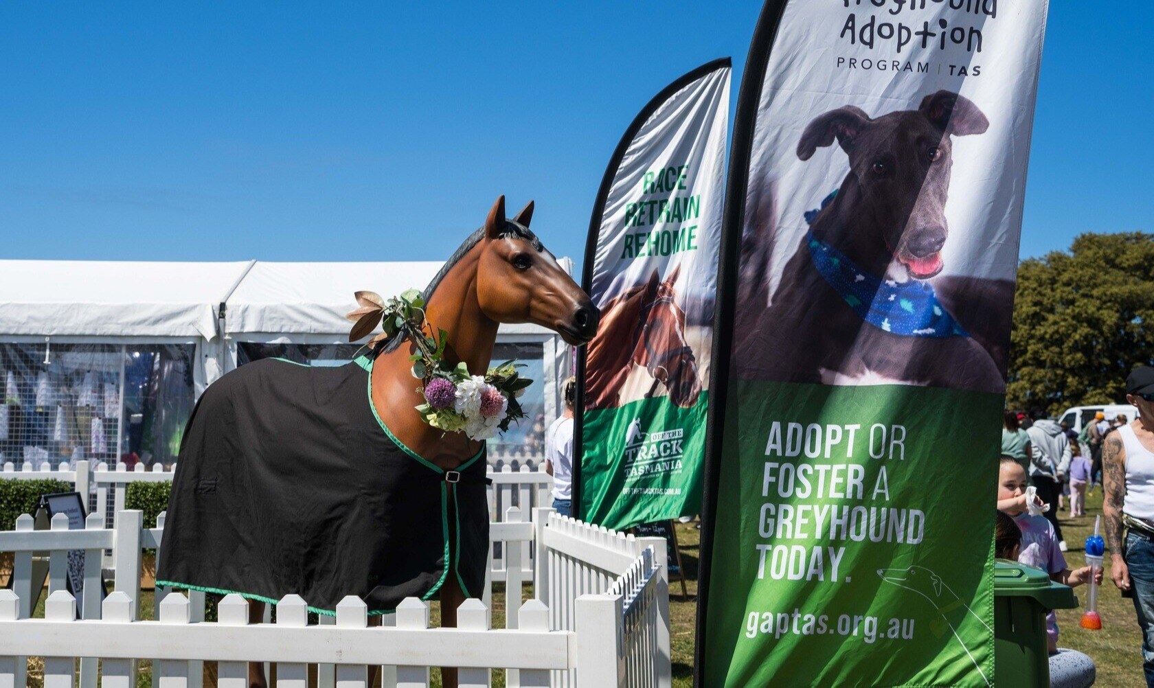 Home - Animal Welfare