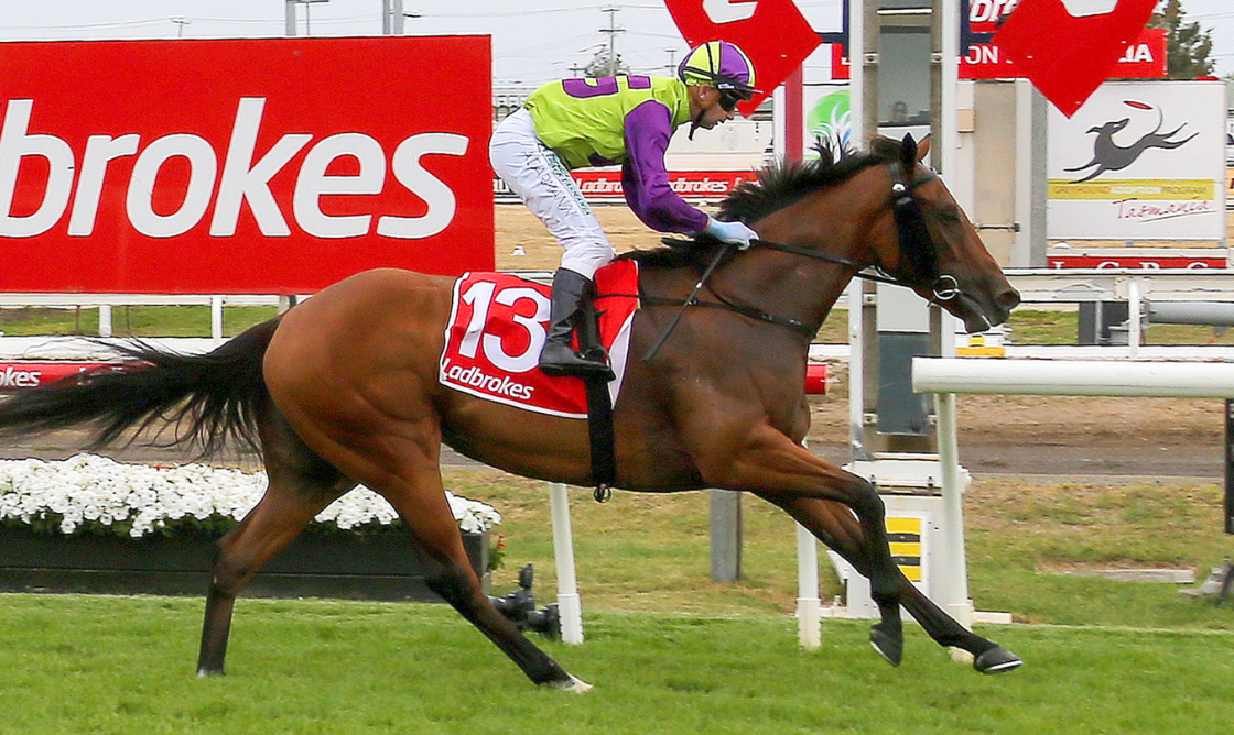 Geegees Mistruth shines bright at 2025 Tasmanian Thoroughbred Racing Awards