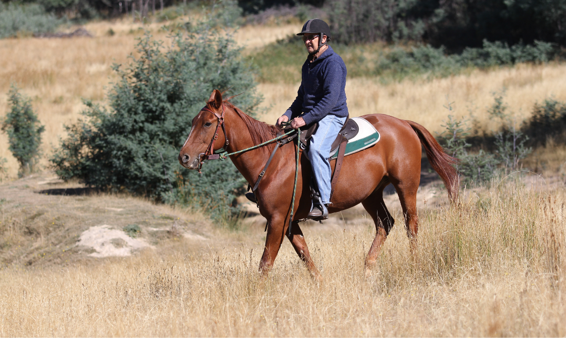 Retiring your Standardbred horse