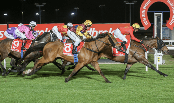 TASBRED Thoroughbred Breeding Incentive Scheme
