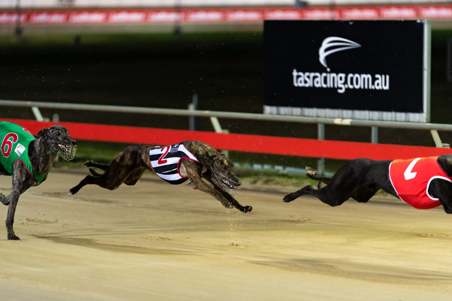 Greyhound Race Dates & Programs